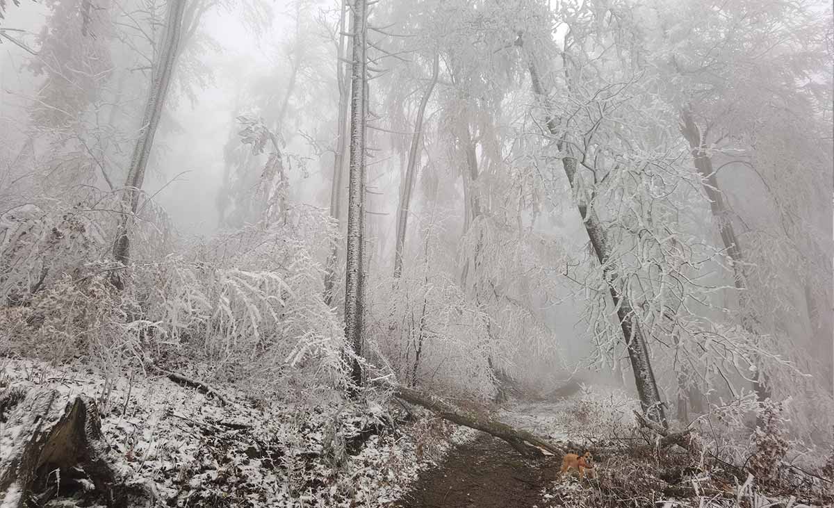 Vyvenčiť starú cez Mystický Marhát: Na hranu jesene a zimy » REŠTARTNI SA